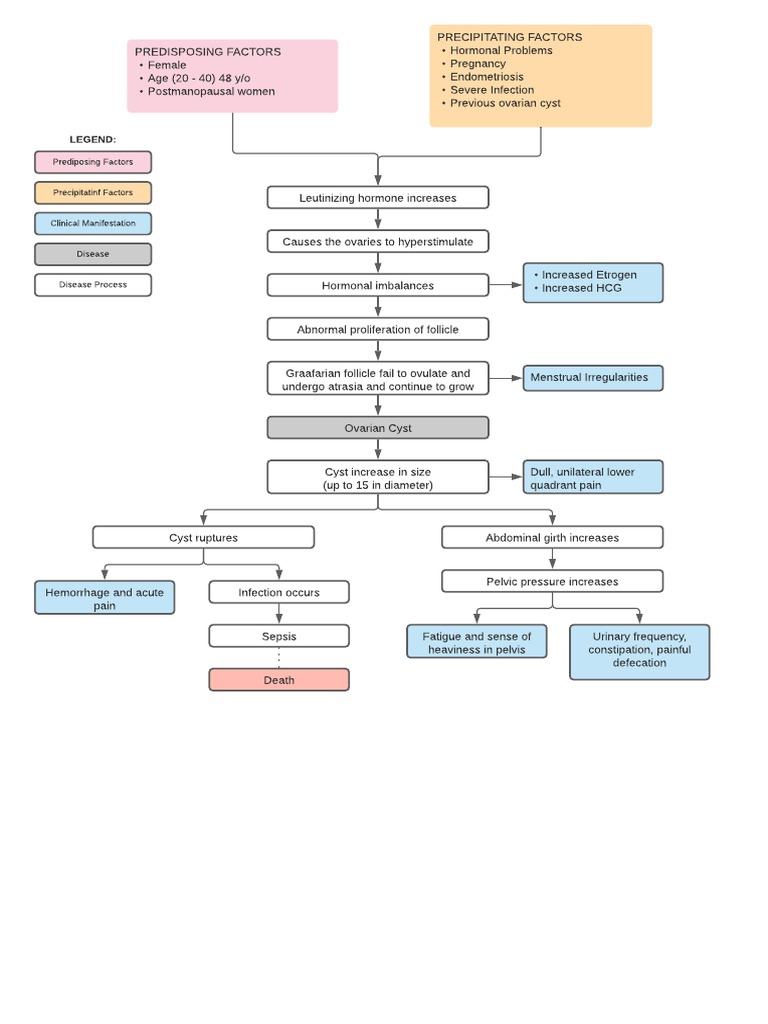 Ovarian Cyst Pathogenesis and Factors | PDF | Ovary | Sexual Anatomy