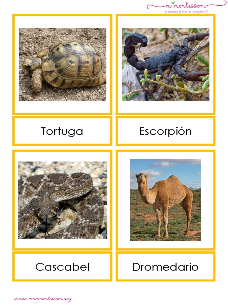 Tarjetas Animales Del Desierto Letra Imprenta | PDF
