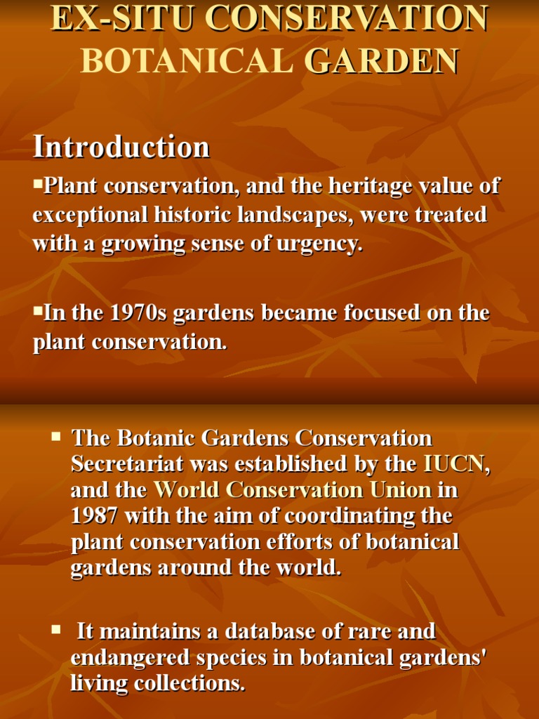 Ex-Situ Conservation | PDF | Botany | Organisms