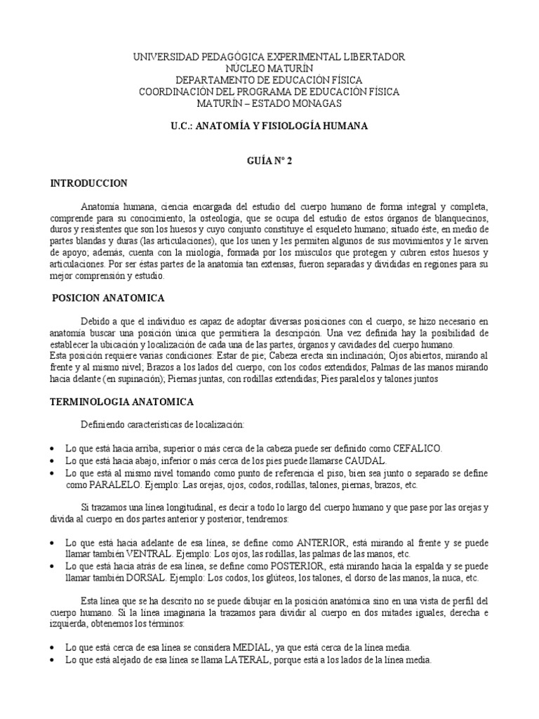 Guía Básica - Unidad I - ANATOMÍA | PDF | Términos anatómicos de ...