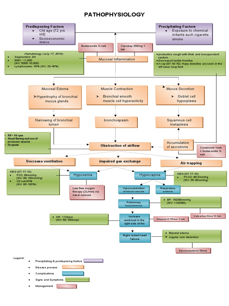 COPD PATHOPHYSIOLOGY diagram