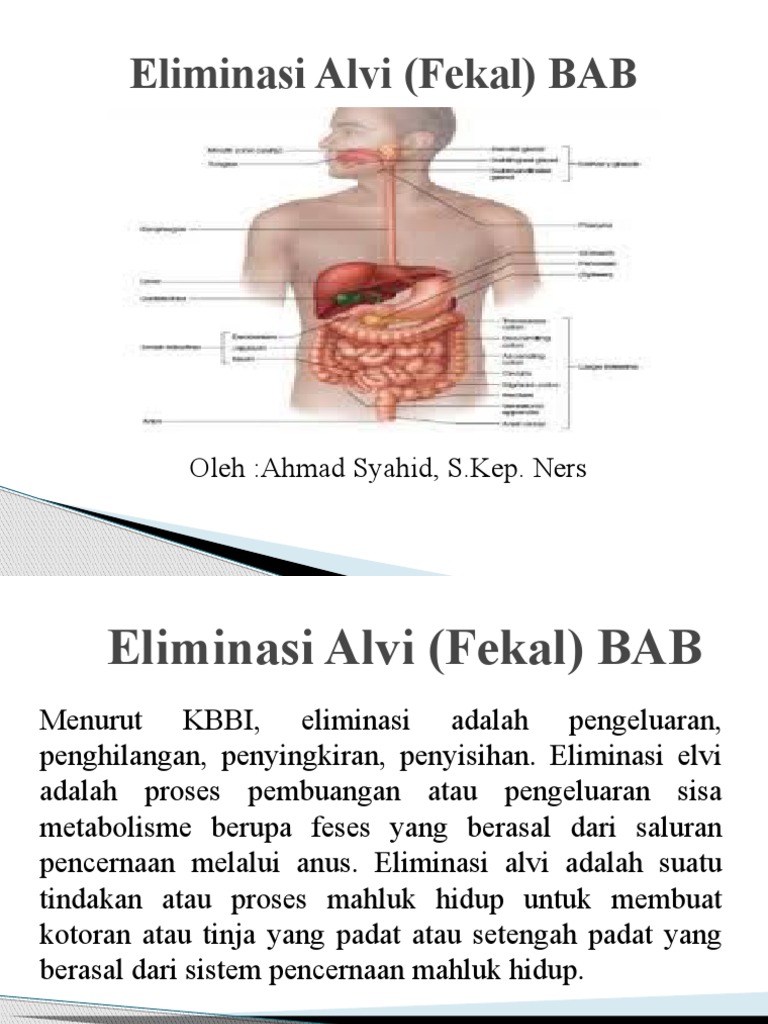 Eliminasi Alvi (Fekal) BAB | PDF
