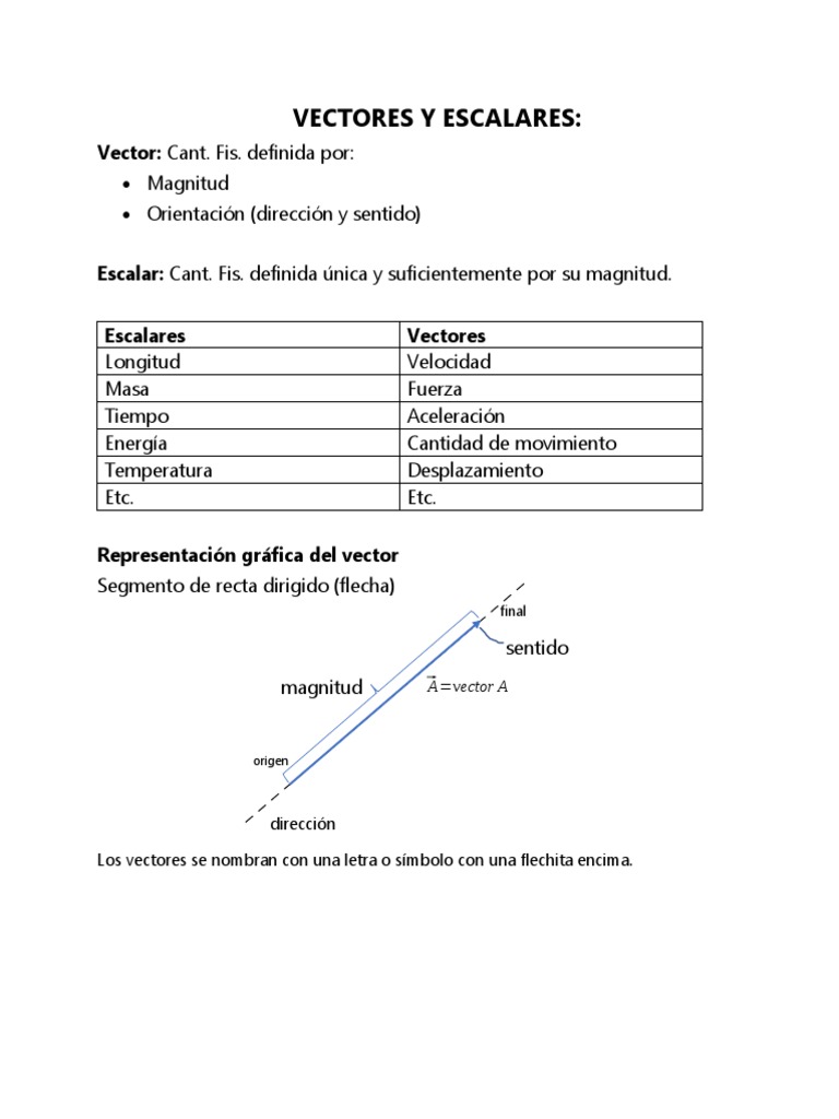 Vectores y escalares: Definiciones y conversiones | PDF | Vector ...