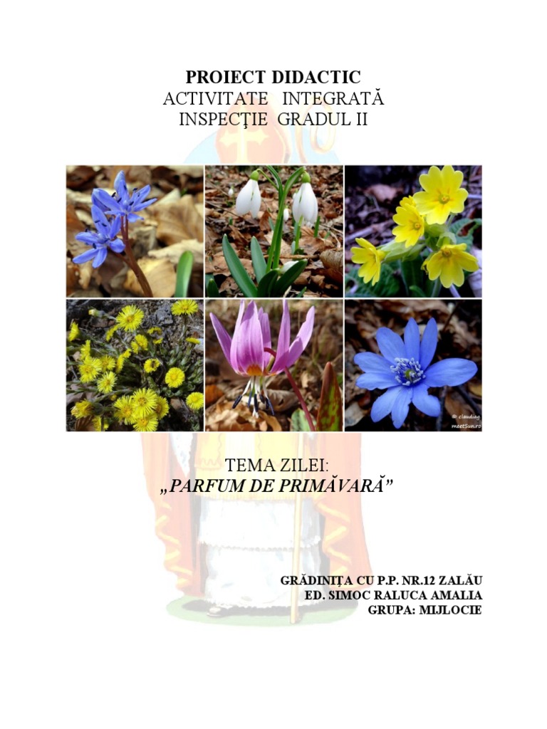 PROIECT DIDACTIC Grad II Simoc Raluca | PDF