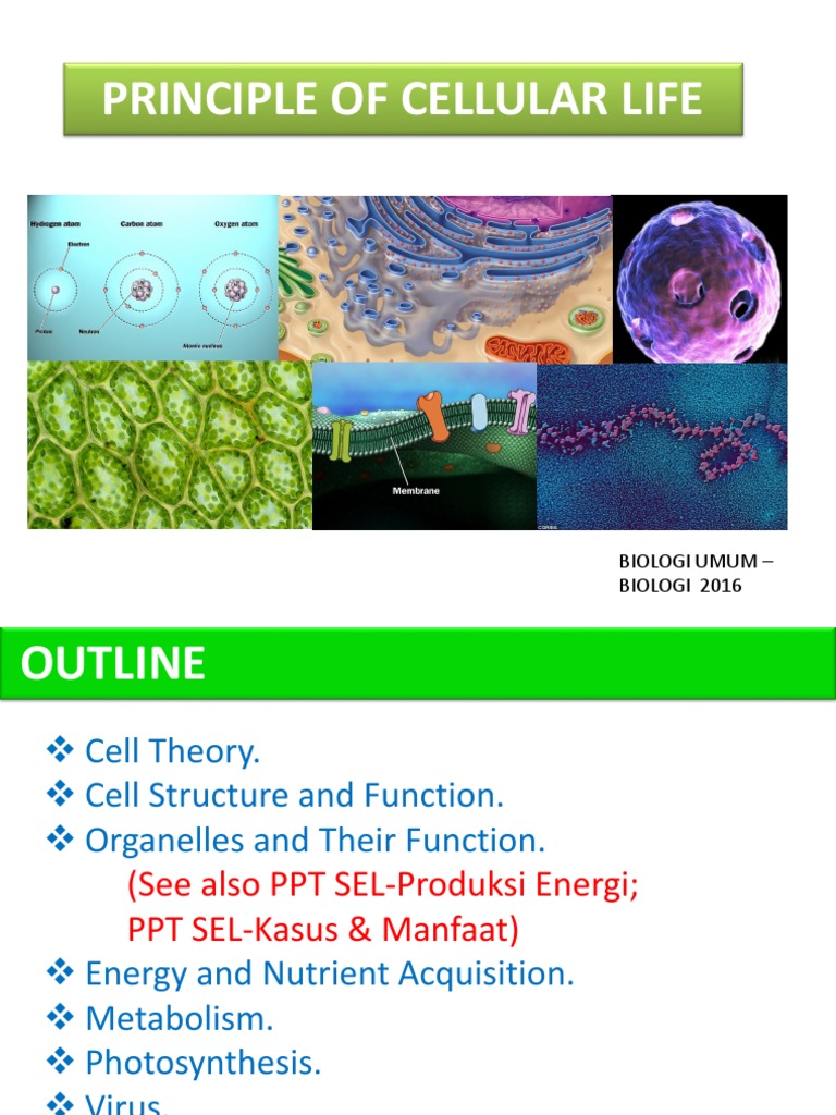 BAB 2 Principle of Cellular Life | PDF | Cellular Respiration ...
