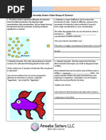 Amoeba Sisters Osmosis Recap Guide | PDF | Osmosis | Cell Biology