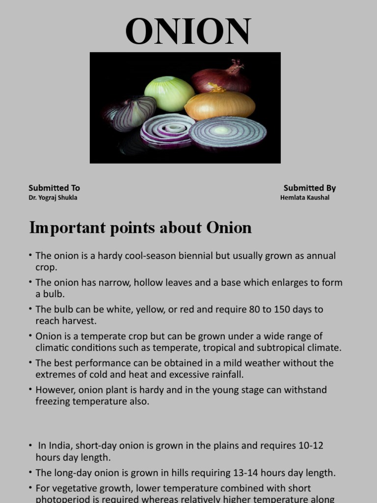 Onion | PDF | Onion | Soil