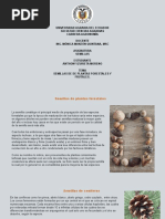 LITOSOLES | PDF | Suelo | Roca (geología)