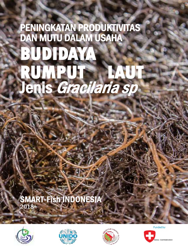 Budidaya Rumput Laut-Gracilaria | PDF