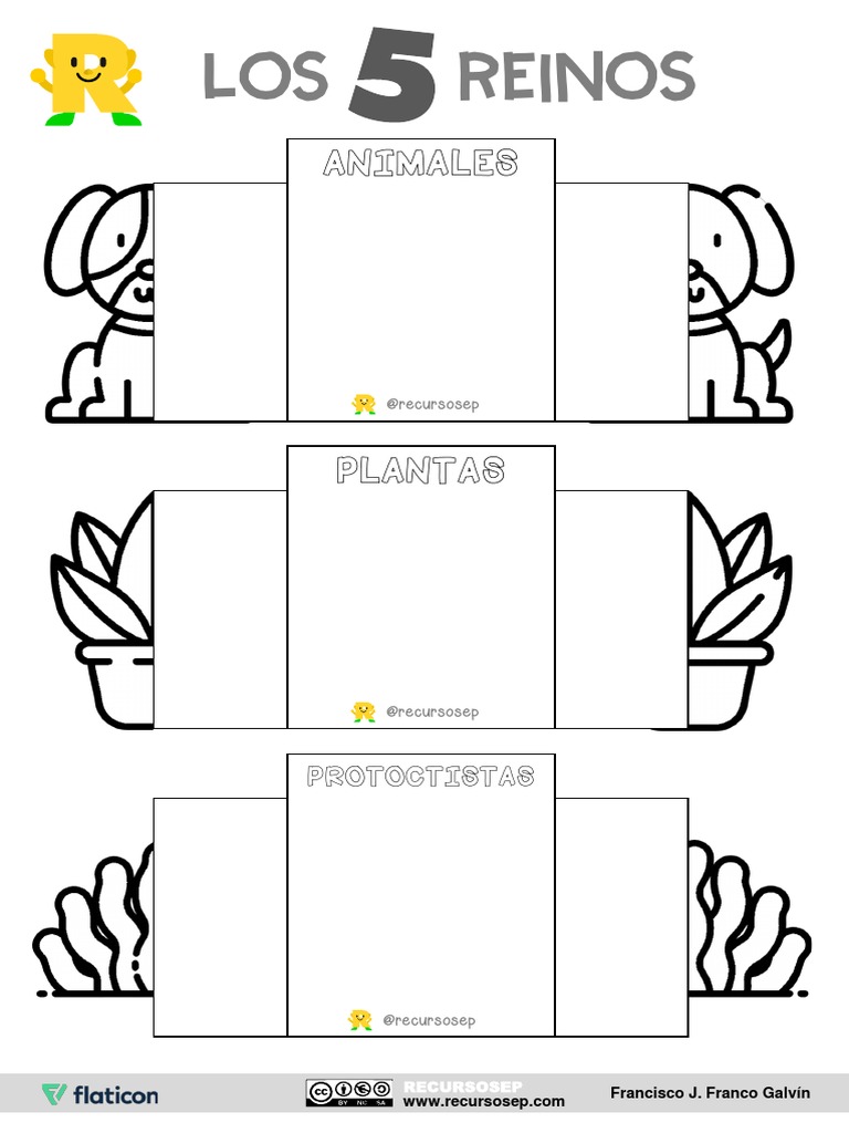 Foldable Seres Vivos Reinos Recursosep Byn Mudo Pdf