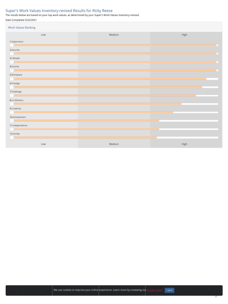 Work Values Assessment Results | PDF