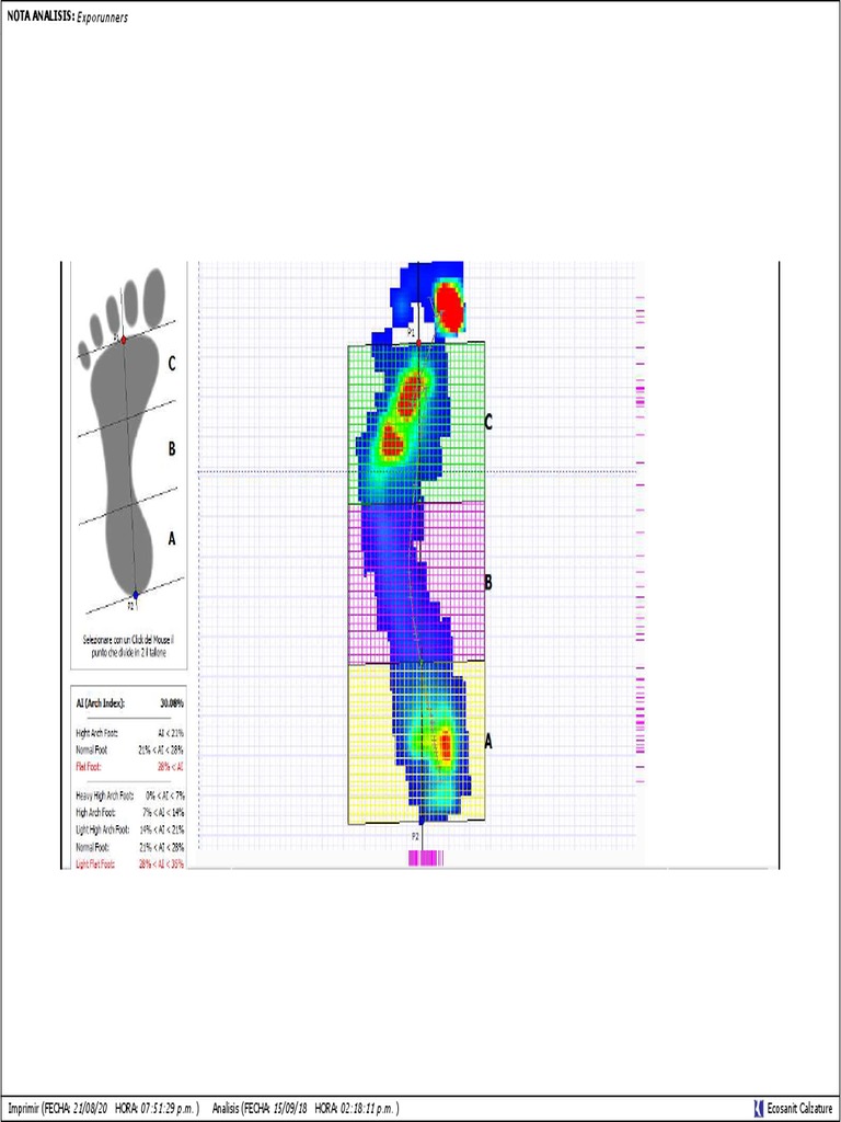 Paciente 37 Arch Index Izquierdo | PDF | Hogar y jardín