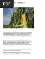 Maize Farming Proposal | PDF | Maize | Agriculture