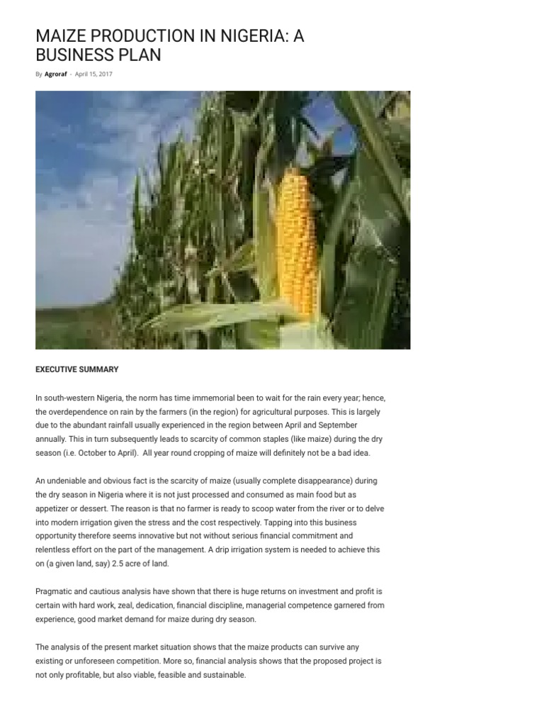 Maize Production in Nigeria - A Business Plan - Agroraf | PDF | Internal Rate Of Return | Net ...