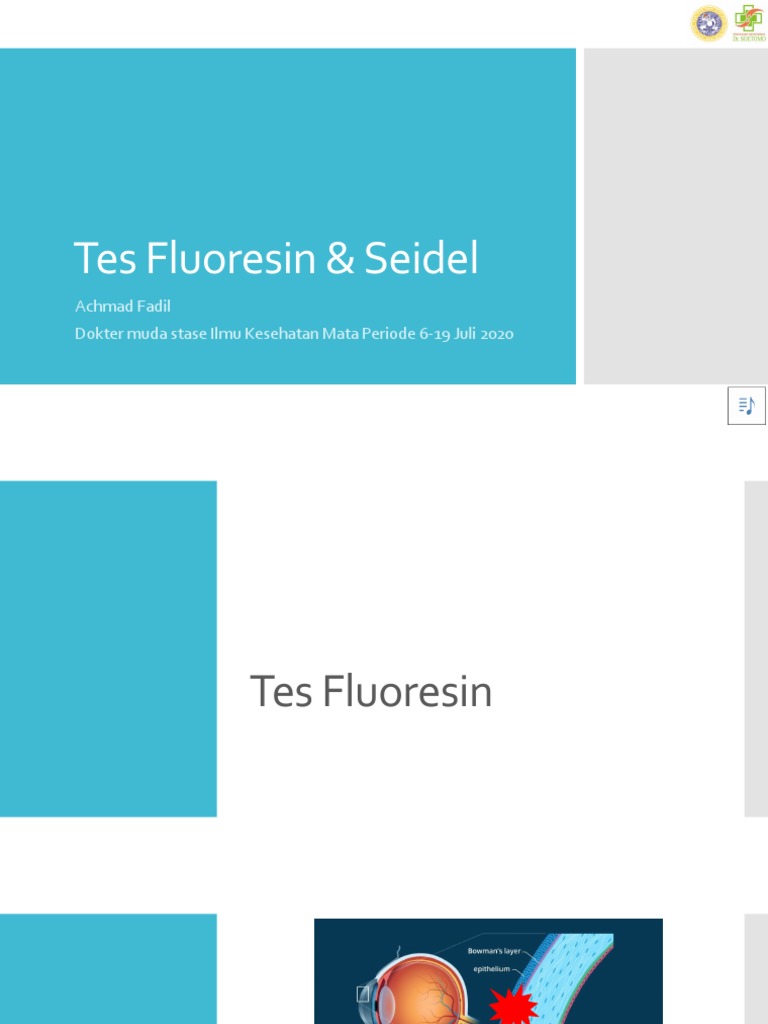Tes Fluoresin dan Seidel dalam Oftalmologi | PDF