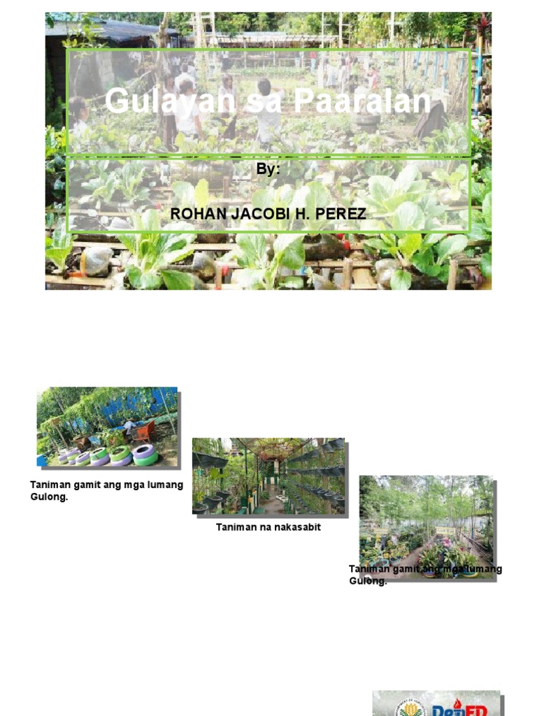 Gulayan Sa Paaralan | PDF
