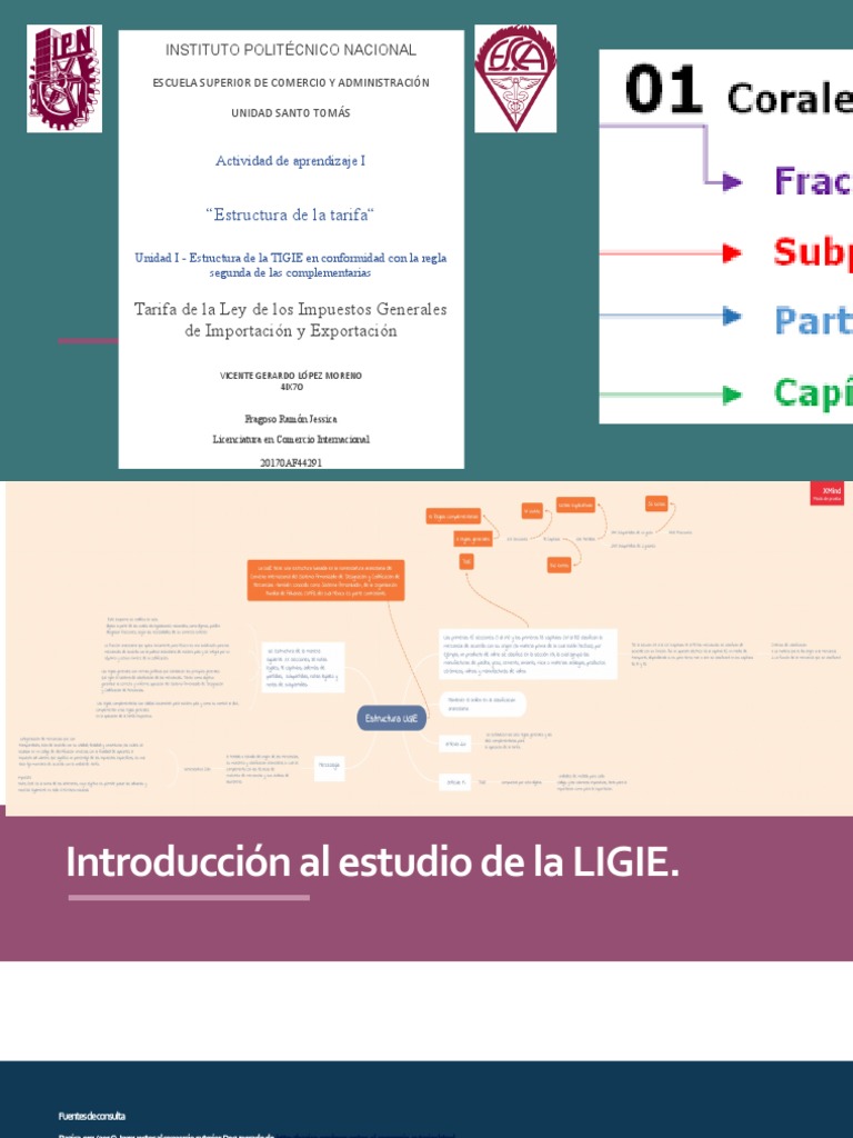 IPN TIGIE U-I A1 Estructura de La Tarifa Jessica Fragoso Ramón 4IX70 | PDF