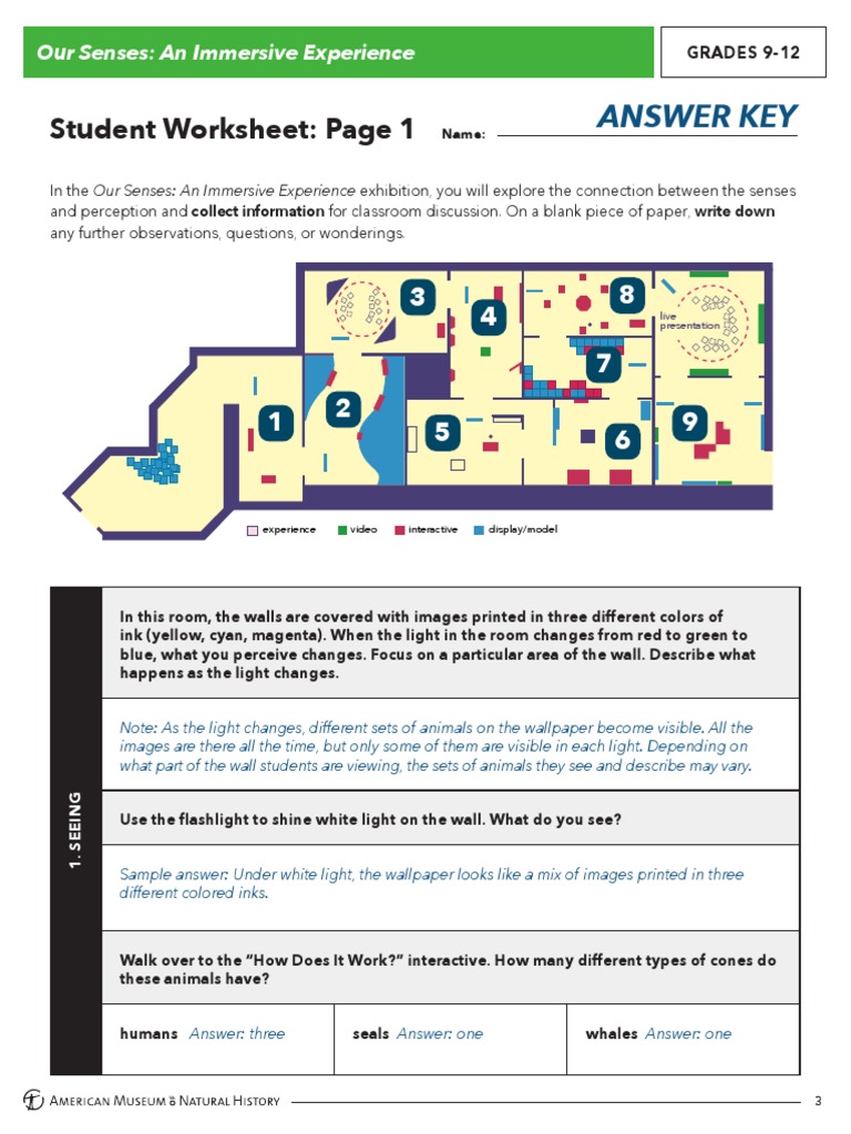 Student Worksheet: Page 1: Answer Key | PDF | Senses | Color
