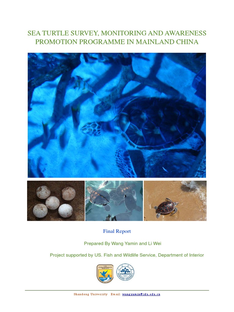 Sea Turtle Survey, Monitoring and Awareness Promotion Programme in ...