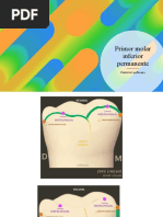 Primer Molar Inferior Permanente. Cara Oclusal | PDF