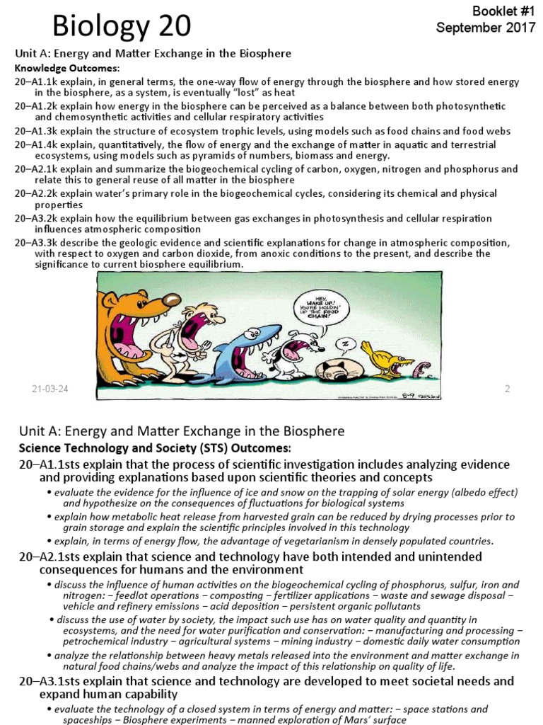 Energy & Matter in Biosphere: Biology 20 | PDF | Food Web | Ecosystem