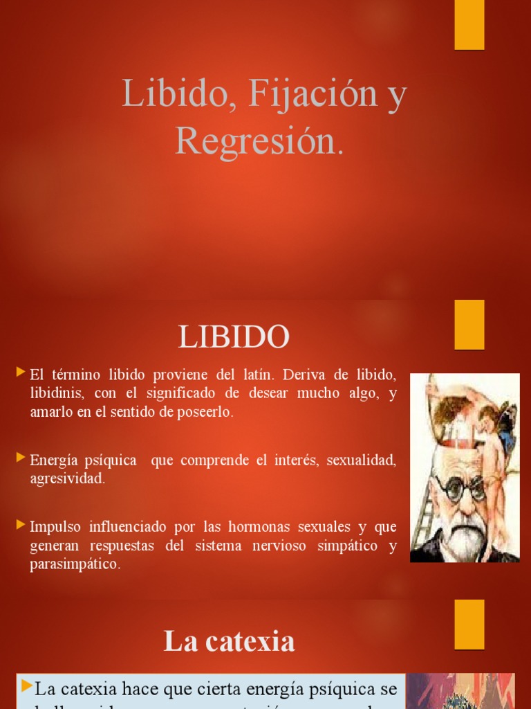 Libido: Conceptos y Tipos Esenciales | PDF | Libido | Ciencias del ...