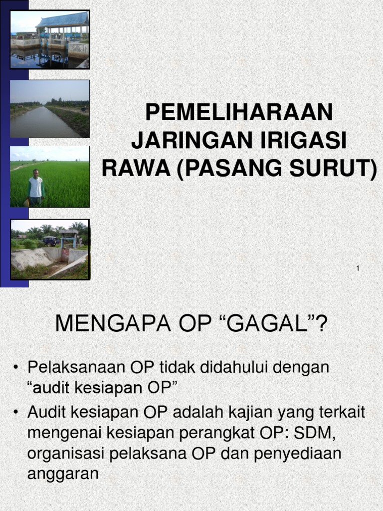 Bf984 BT Pemeliharaan Jaringan Irigasi Rawa | PDF