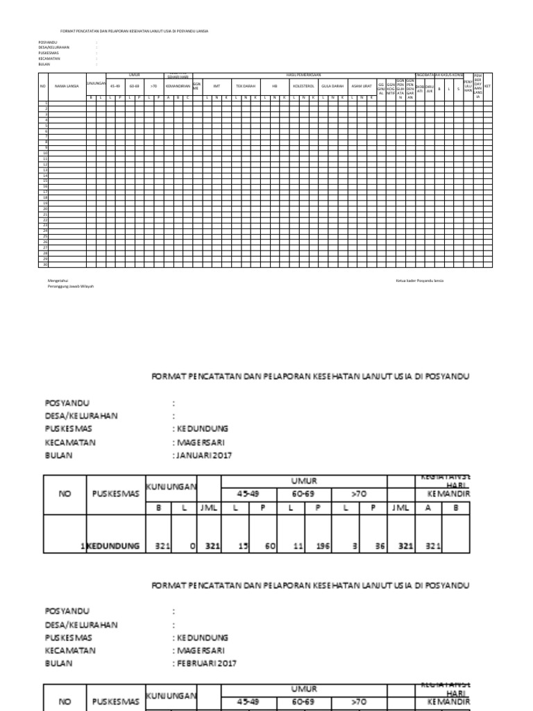 Format Pelaporan Posyandu Lansia 2017 | PDF