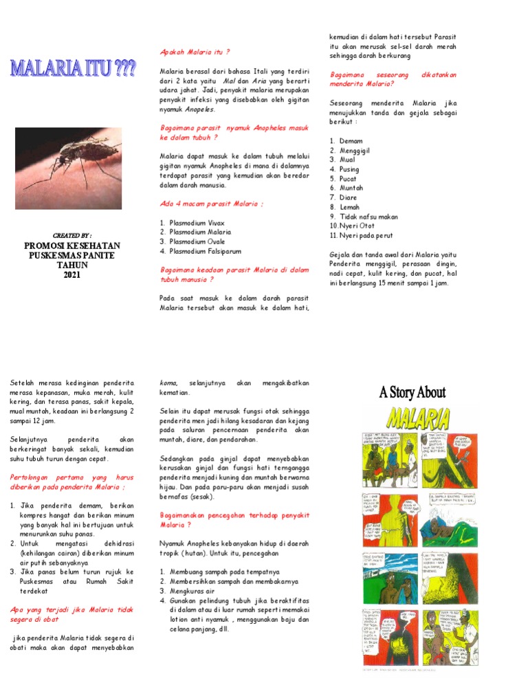 Leaflet Malaria | PDF
