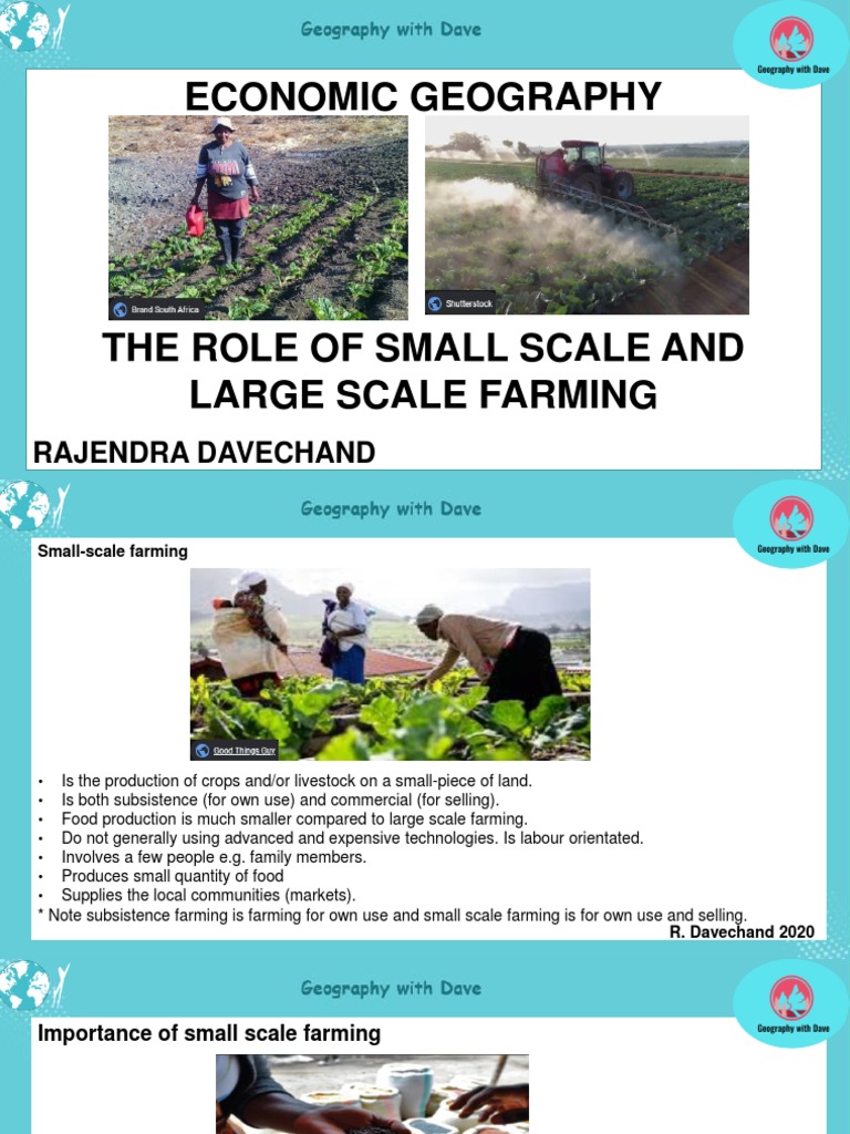 Economic Geog - Agriculture - The Role of Small and Large Scale Farmers ...