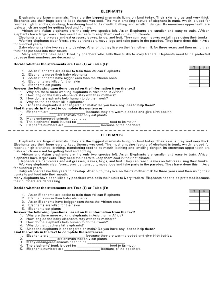 Report Text Exercise 2 | PDF | Elephant | Ivory