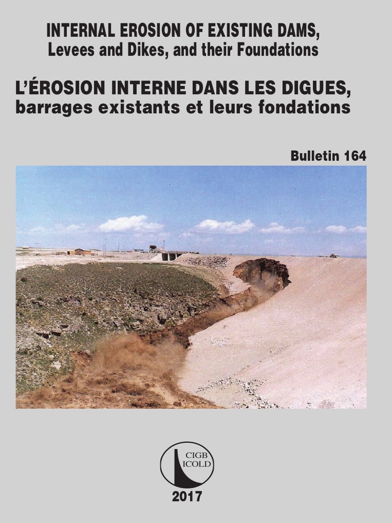Internal Erosion of Existing Dams | PDF | Barrage | Infrastructure