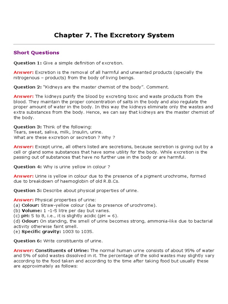 Chapter 7. The Excretory System: Short Questions | PDF | Kidney ...