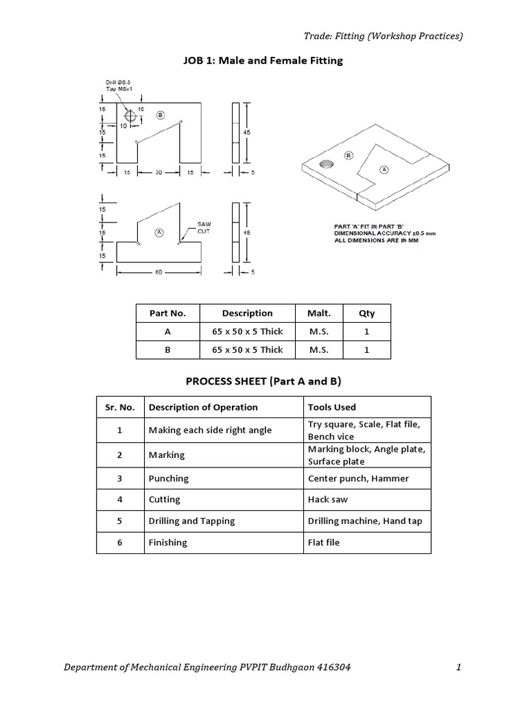 Fitting Workshop Practical Guide | PDF