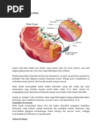 OBAT GOLONGAN CALCIUM CHANEL BLOCKER (CCB) | PDF