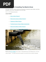 Water Pollution Case Study | PDF