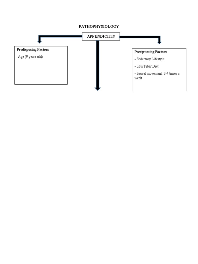 Appendicitis Pathophysiology Guide | PDF | Gastroenterology | Human ...