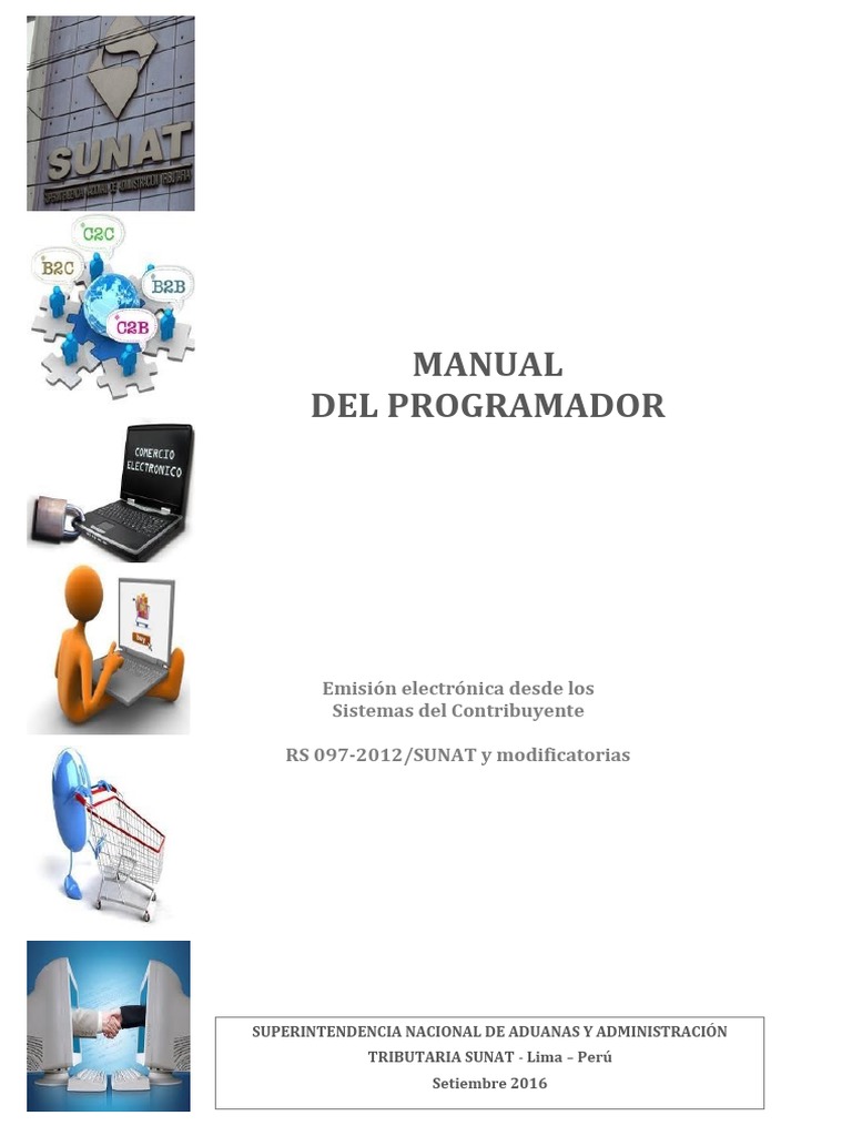 Manual-Programador Actualizado | PDF | Archivo de computadora | Xml