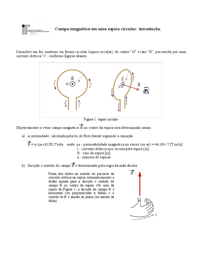 Campo Magnético de Uma Espira Circular | PDF | Magnetismo | Campo magnético