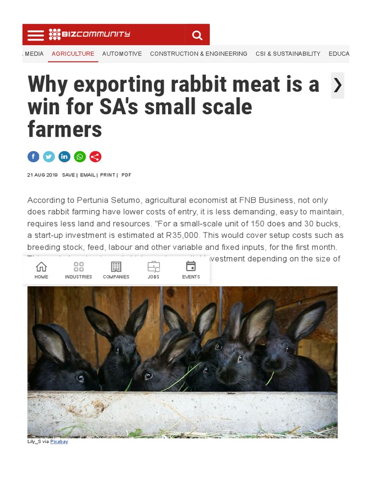 Why Exporting Rabbit Meat Is A Win For SA's Small Scale Farmers | PDF ...