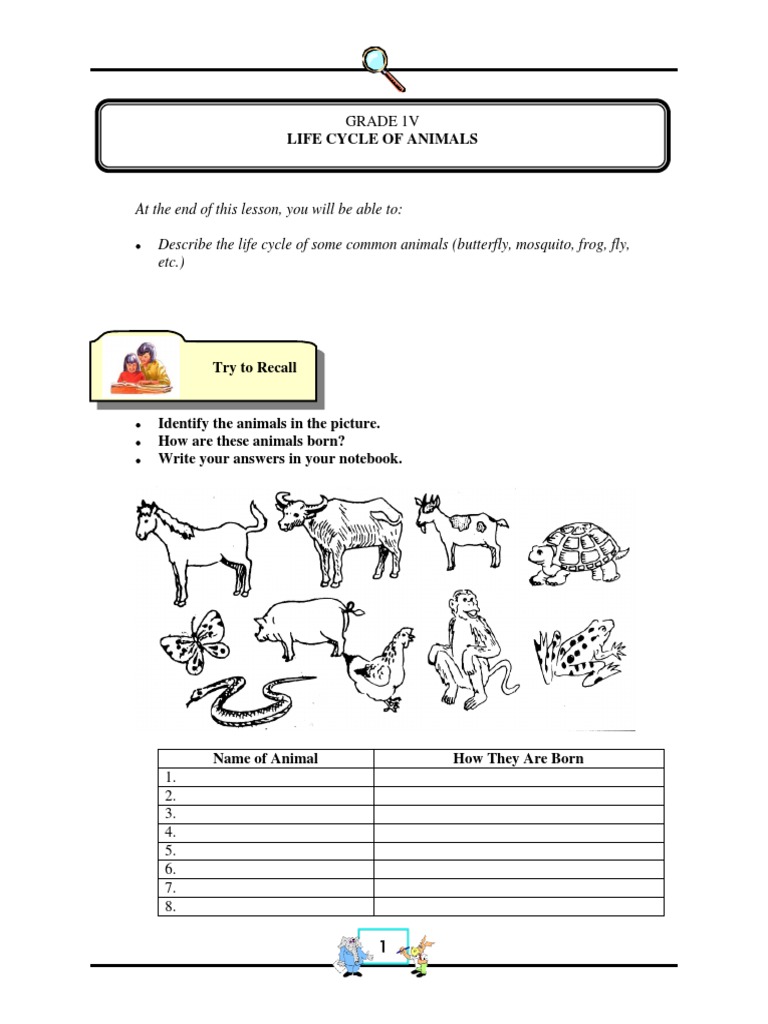 Life Cycle of Animals: Grade 1V | PDF | Pupa | Butterfly