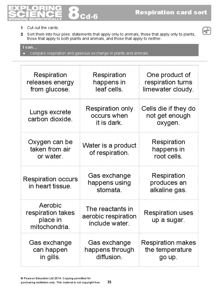 Respiration Card Sort: I Can | PDF | Cellular Respiration | Oxygen
