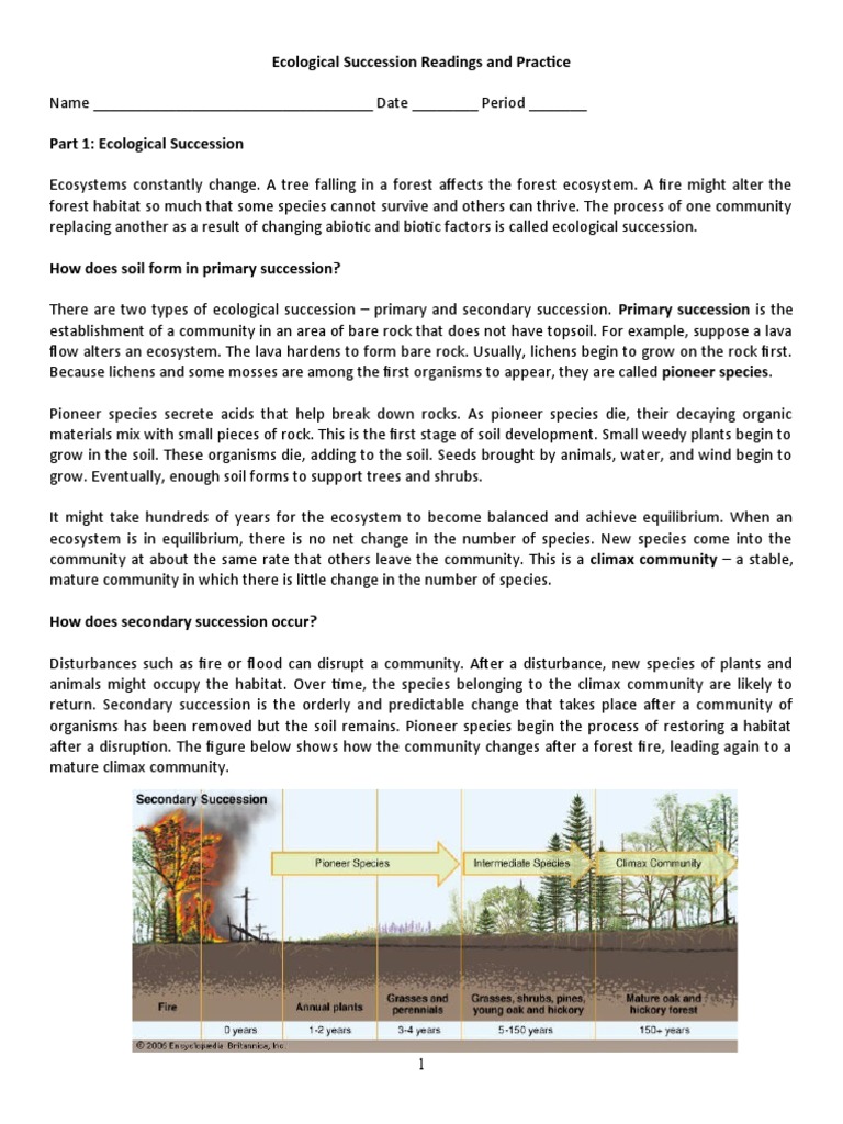Ecological Succession Worksheet | Download Free PDF | Ecosystem ...