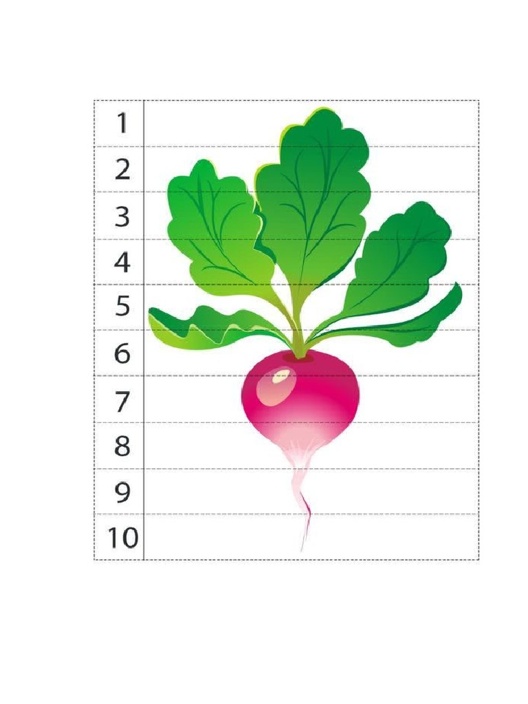 Fise de Lucru Legume | PDF