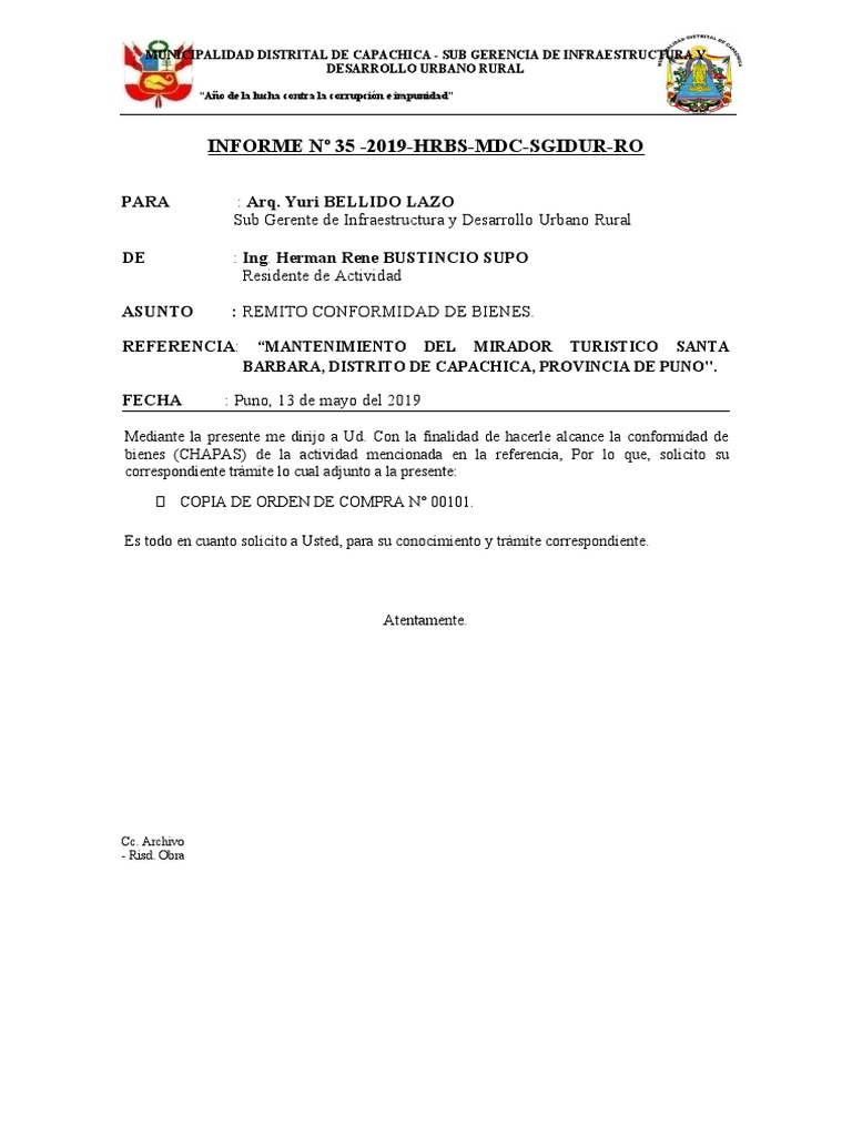 Modelo de Informe | PDF