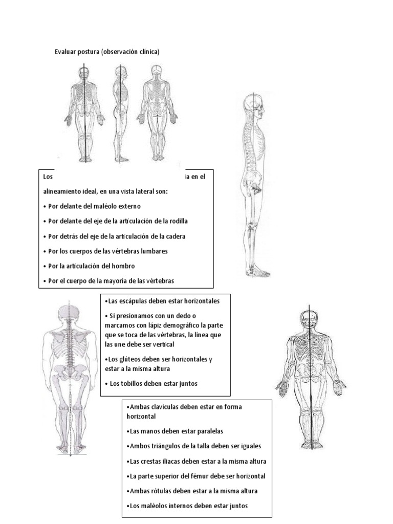 Evaluación Clínica de Postura y Voz | PDF | Anatomía humana | Sistema ...