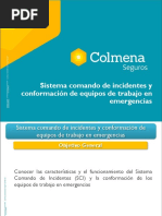 8 Pasos para Implementar El Sci | PDF | Ciencia y matemáticas | Informática