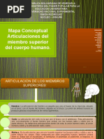 Quiroscopía | PDF | Huella dactilar | Mano