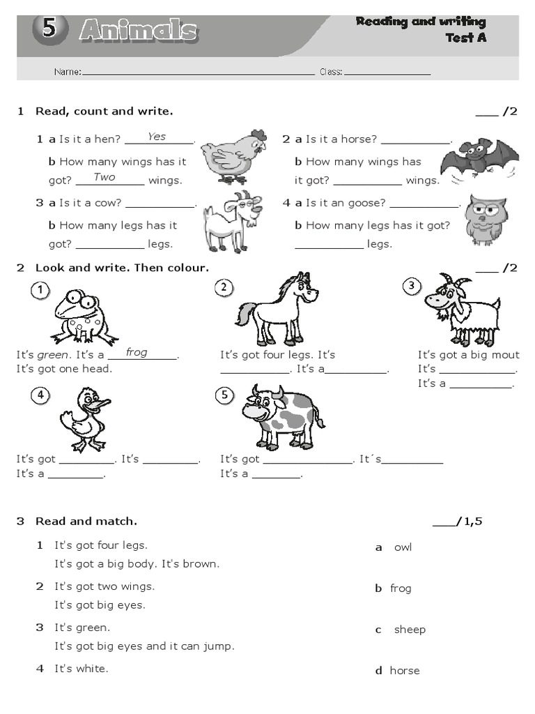 Test. Unit 5 | PDF