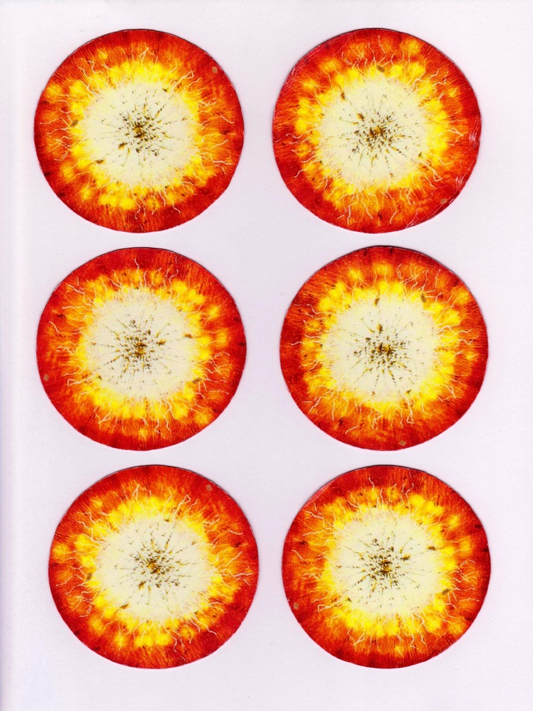 Large Heavy Flamer Blast Template | PDF